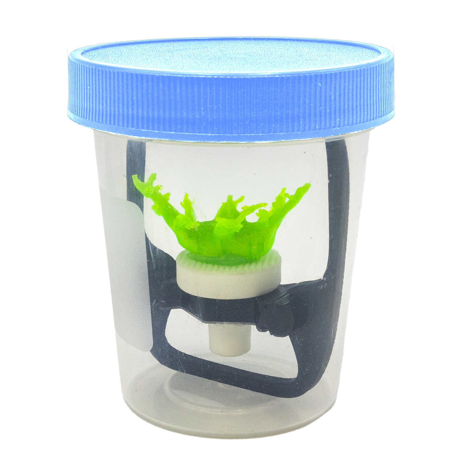 FragLoc™ - Coral Frag Transport Cup Kit – NYAquatic